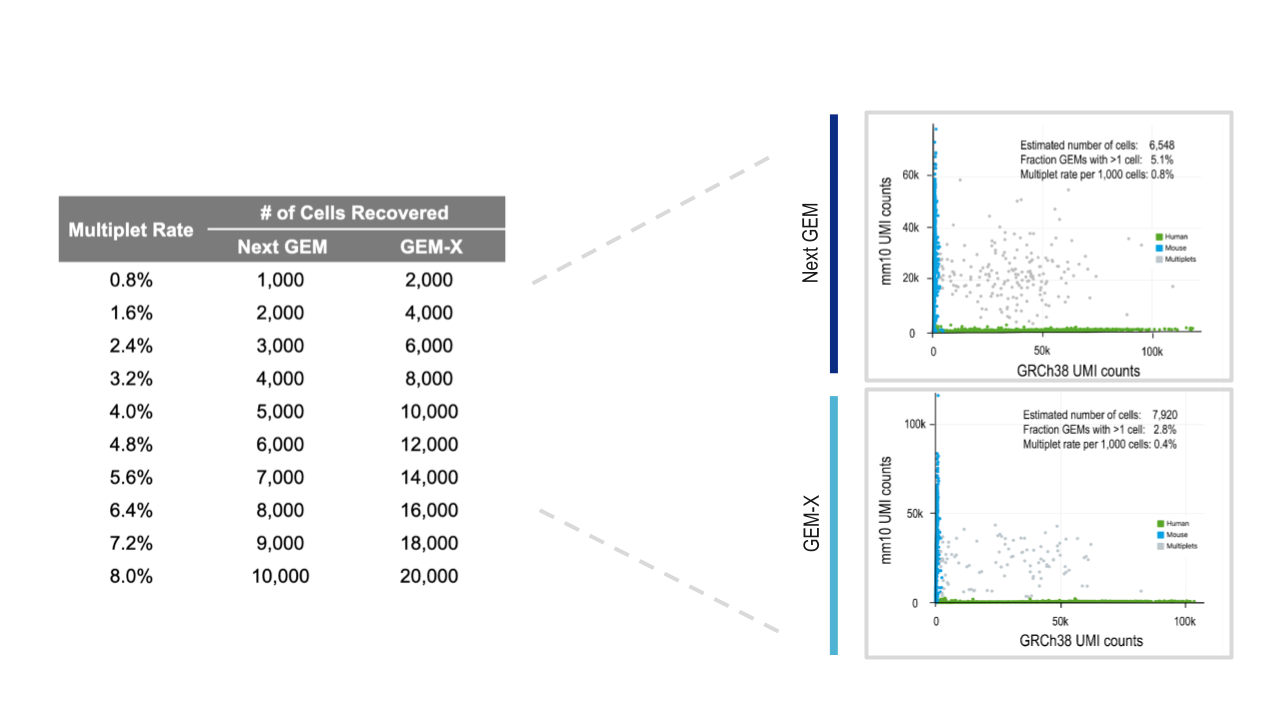 The neXt generation of single cell RNA-seq: An introduction to GEM-X technology - 10x Genomics